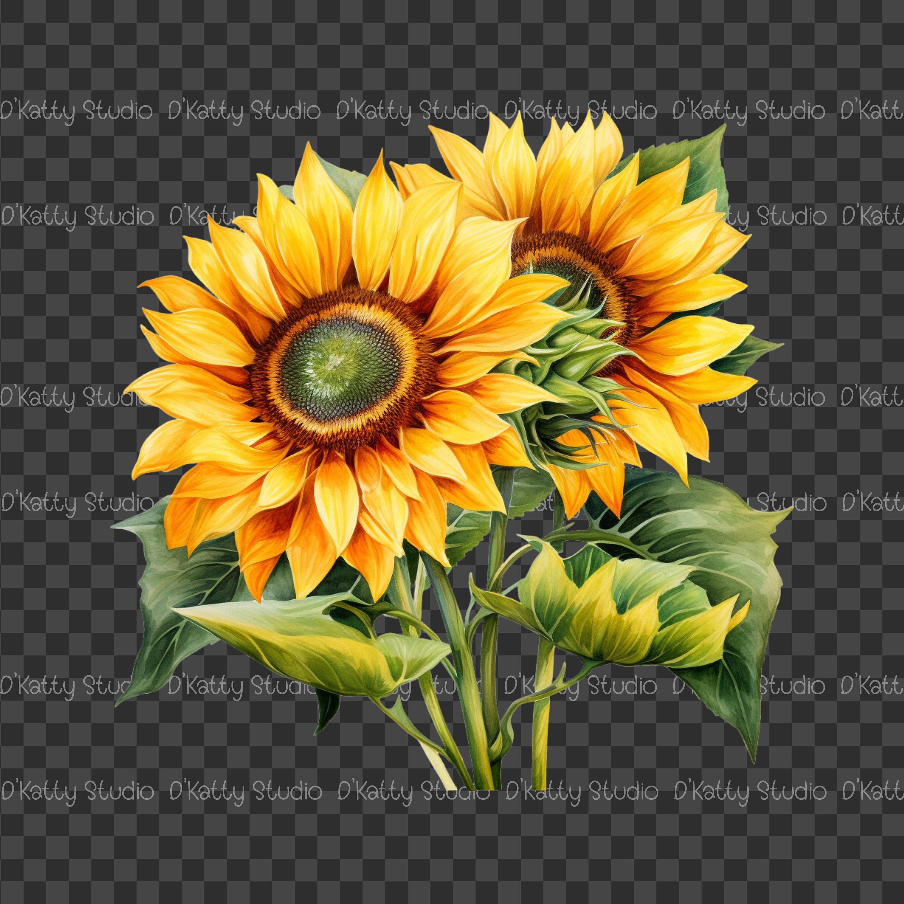 Sunflower Clipart Transparent Background Watercolor Sunflower Floral ...