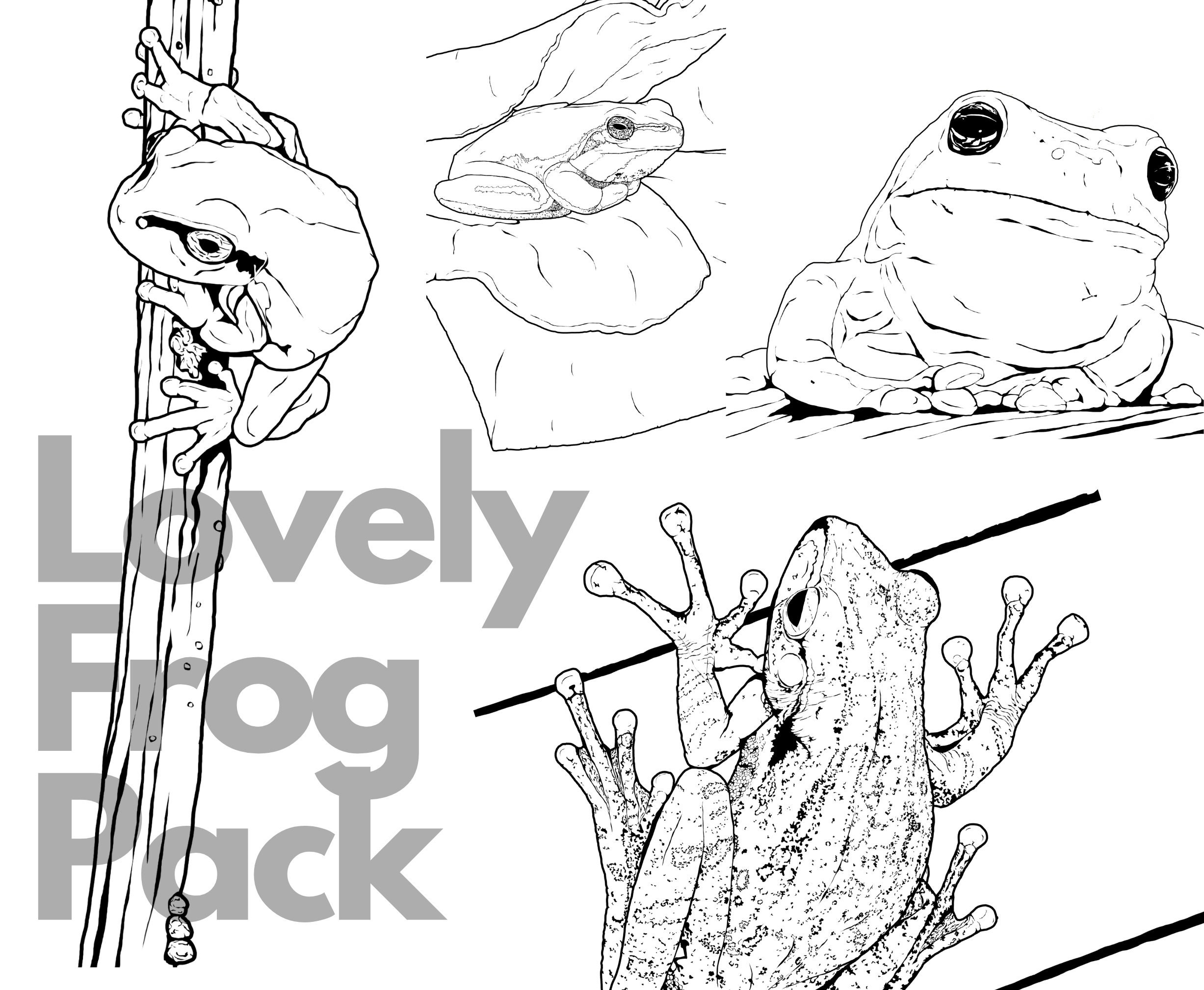 Realistic Tree Frog Coloring Pages