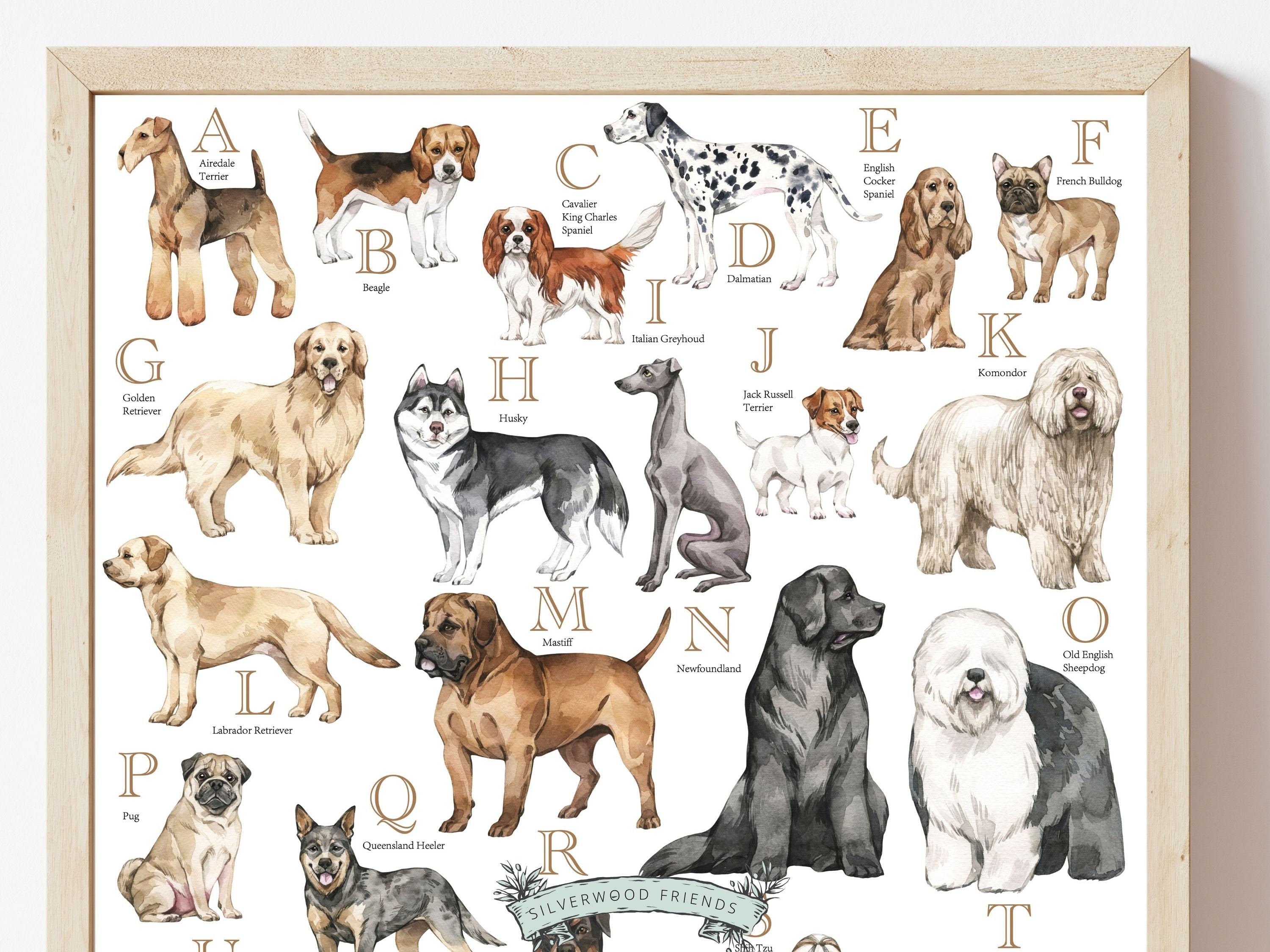 Dog Breeds Poster | lupon.gov.ph