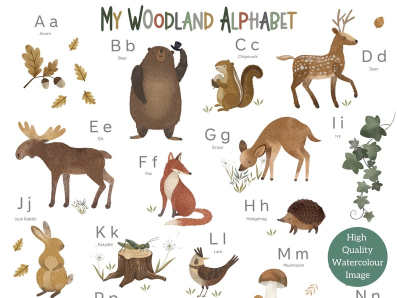 Woodland Alphabet Poster Woodland Alphabet Print Woodland - Etsy