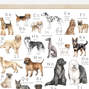 Dog Alphabet Poster Print, Dog Breed Nursery Poster, Abc of Dogs ...