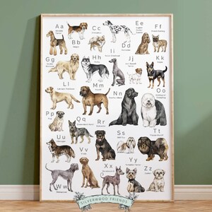 Dog Alphabet Poster Print, Dog Breed Nursery Poster, Abc of Dogs ...