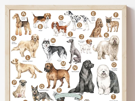 57 Breeds Of Dog Chart Svg Jpg Png 1620'', 59% OFF