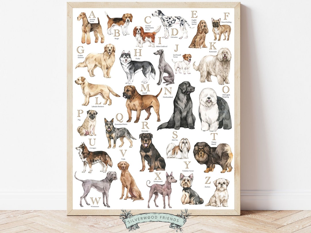 Dog Breed Alphabet Poster Dog Breeds Nursery Print Abc of - Etsy