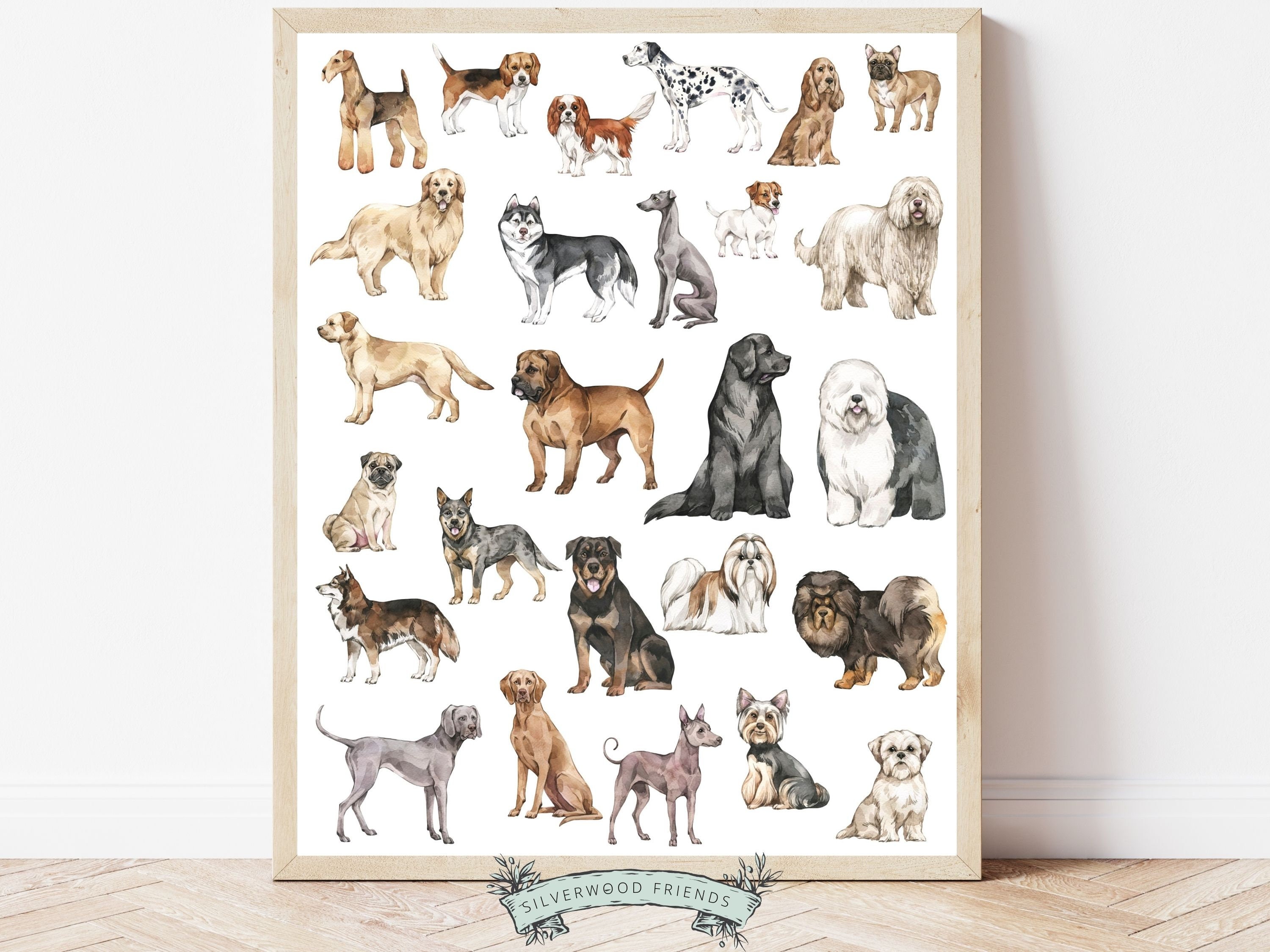 Guide To Purebred Dogs Poster
