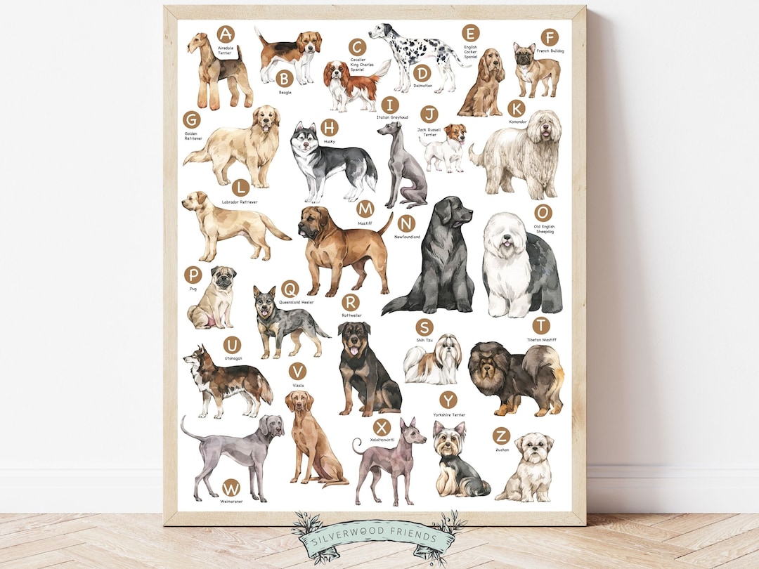 Dog Alphabet Poster Print Dog Breed Nursery Poster Abc of - Etsy