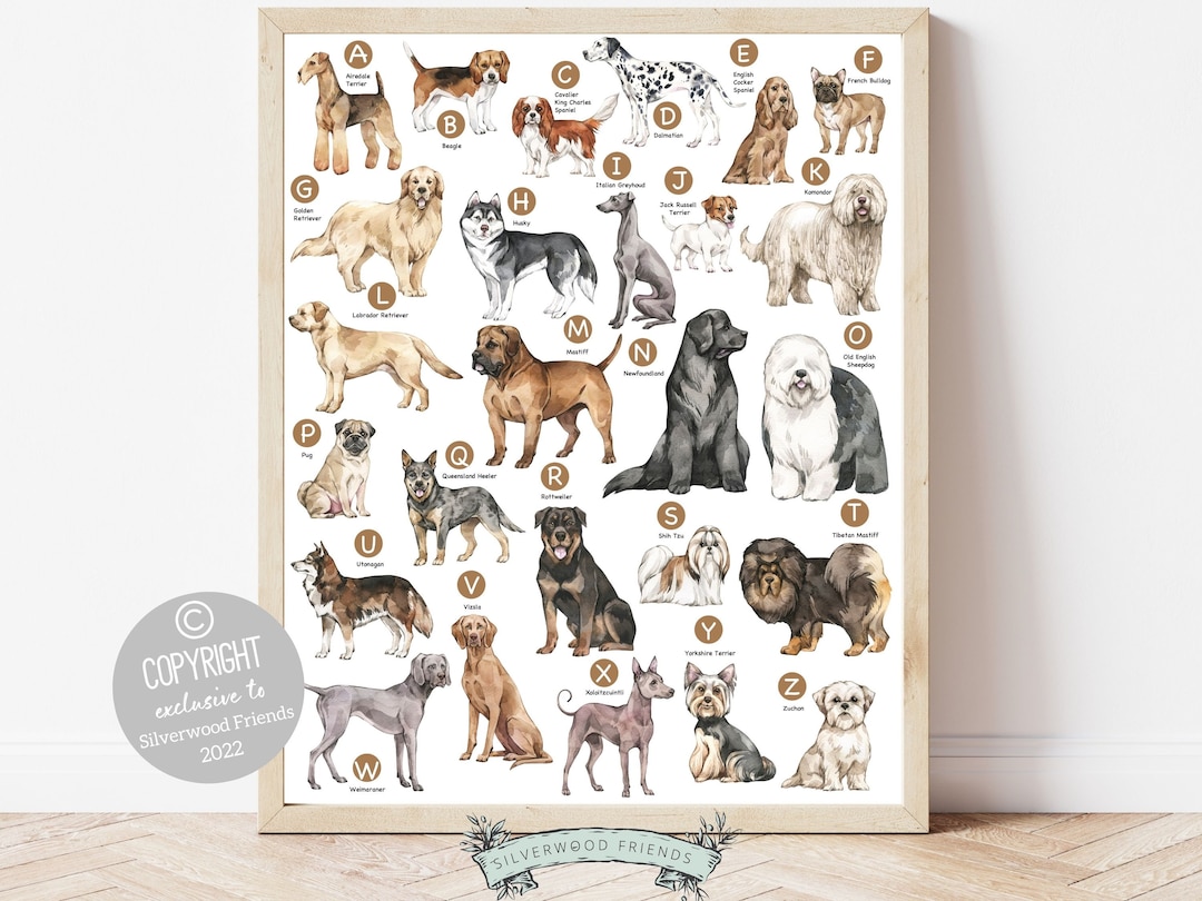 Dog Alphabet Poster Print, Dog Breed Nursery Poster, Abc of Dogs ...