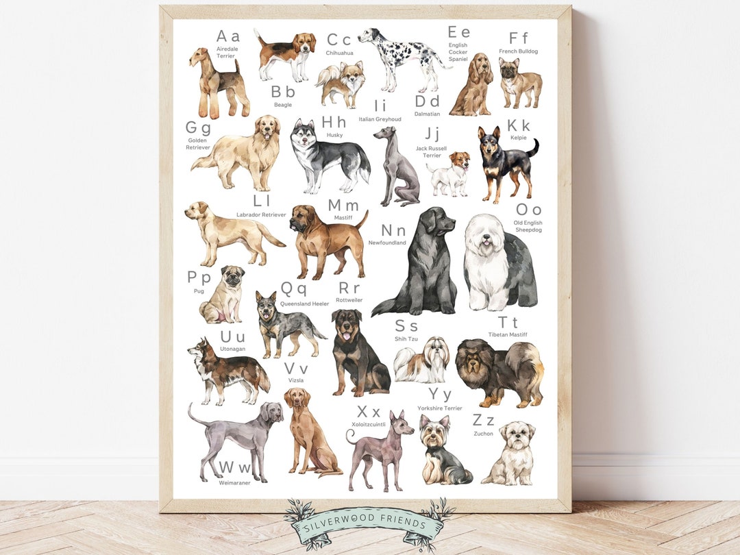 Dog Alphabet Poster Print Dog Breed Nursery Poster Abc of - Etsy