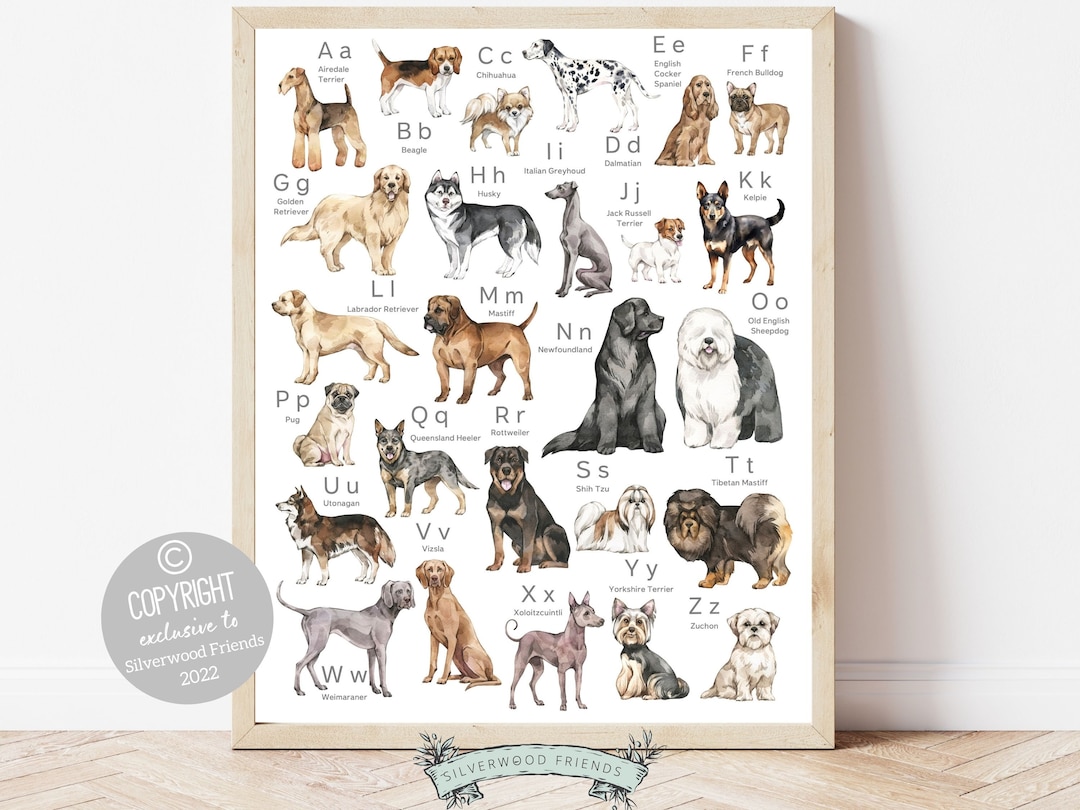 Dog Alphabet Poster Print, Dog Breed Nursery Poster, Abc of Dogs ...