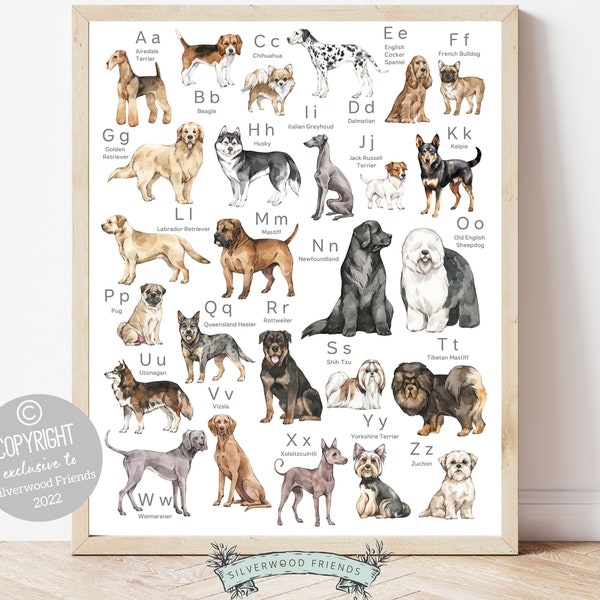 Dog Breeds Poster - Etsy
