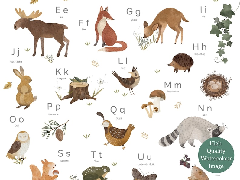 Woodland Alphabet Poster Woodland Alphabet Print Woodland - Etsy