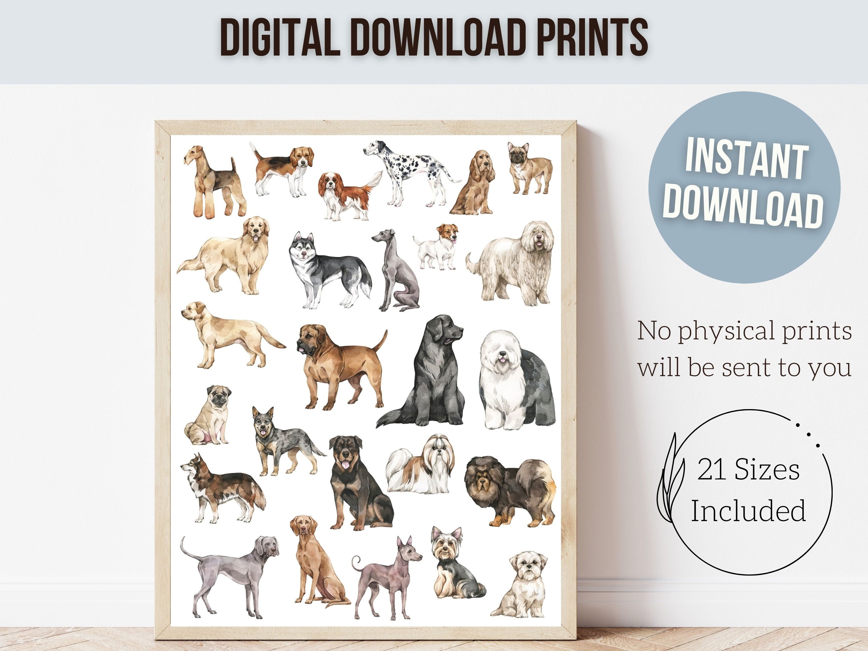 Dog Breeds Alphabet By