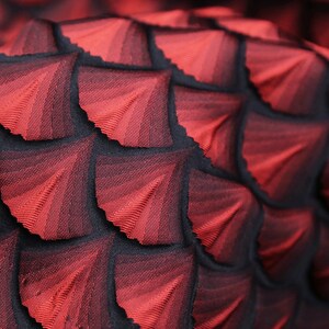 Red Fish Scale Fabric, Vintage Embossed Jacquard Scallops Fabric for ...