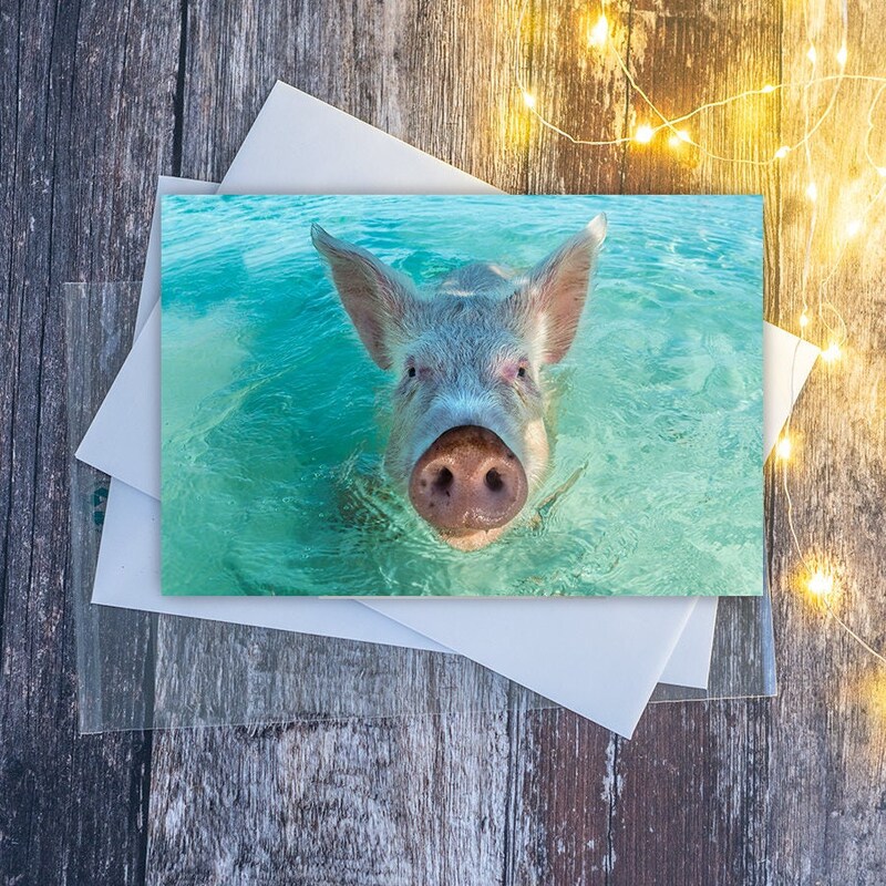 Swimming Pigs - Etsy UK