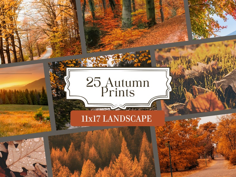 25 Autumn Landscape Nature Prints | Fall Photos | Nature Home Decor ...