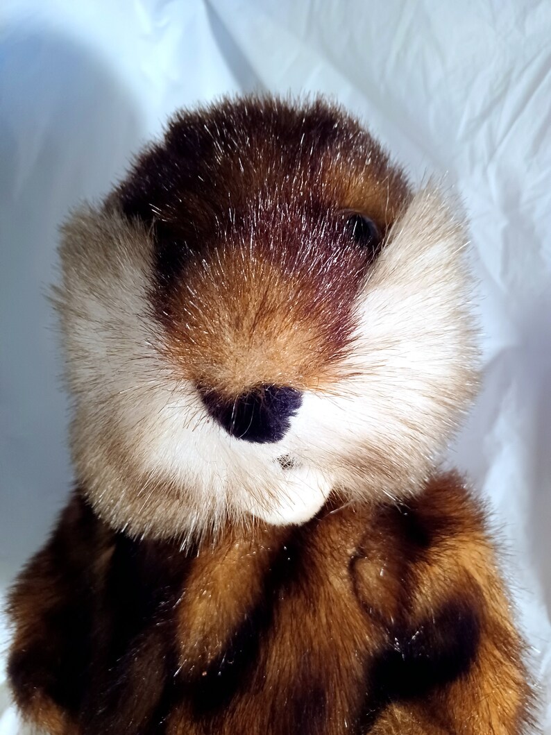 Original Gemmy 2000 Gopher Caddyshack Sings and Dances to im Alright ...