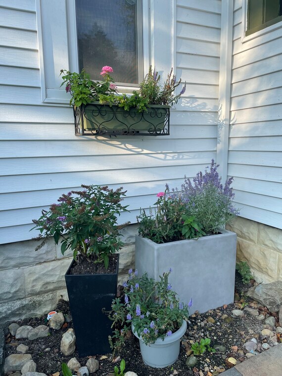 Window Box Design - Etsy