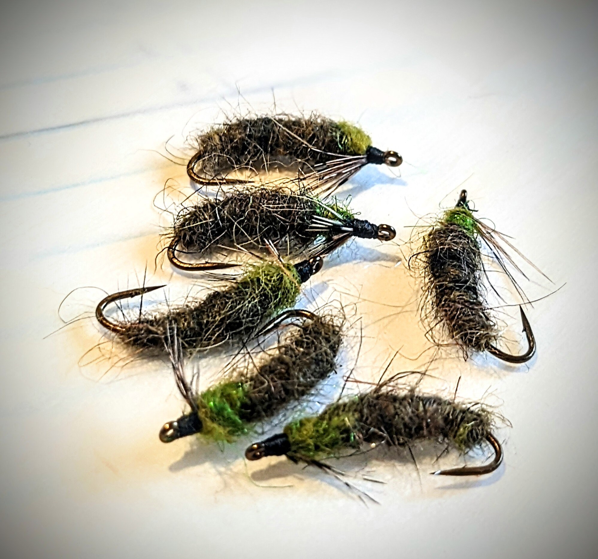 Cased Caddis - Etsy