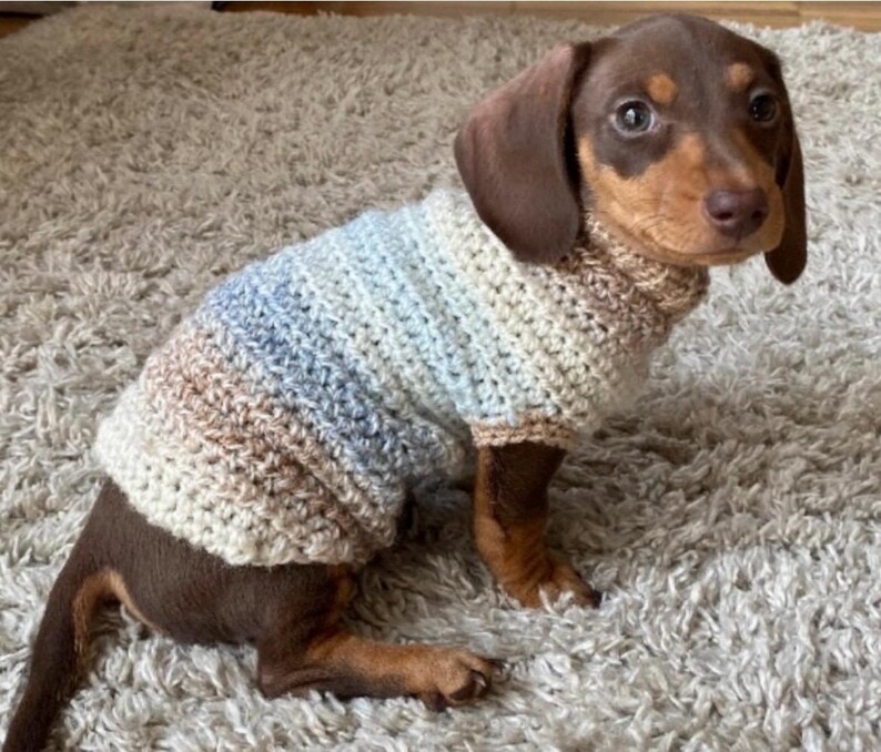 Puppy Jumpers for 12 Week Old Miniature Dachshunds in a Variety of ...