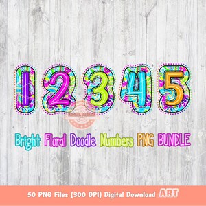 Bright Doodle Numbers PNG Bundle, Hand Drawn Colorful Paisley Floral ...