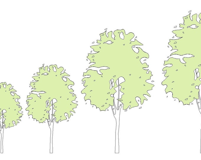 2D Revit Tree Families, Elevation Detailed Items, With Color - Etsy
