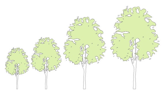 2D Revit Tree Families Elevation Detailed Items With Color - Etsy