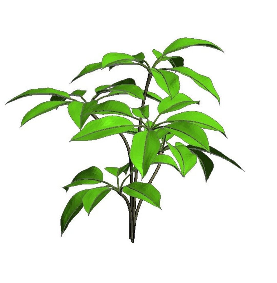 3D Leafy Revit Plant 01 - Scalable - Etsy
