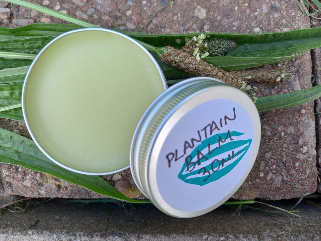 Plantain Balm - Etsy