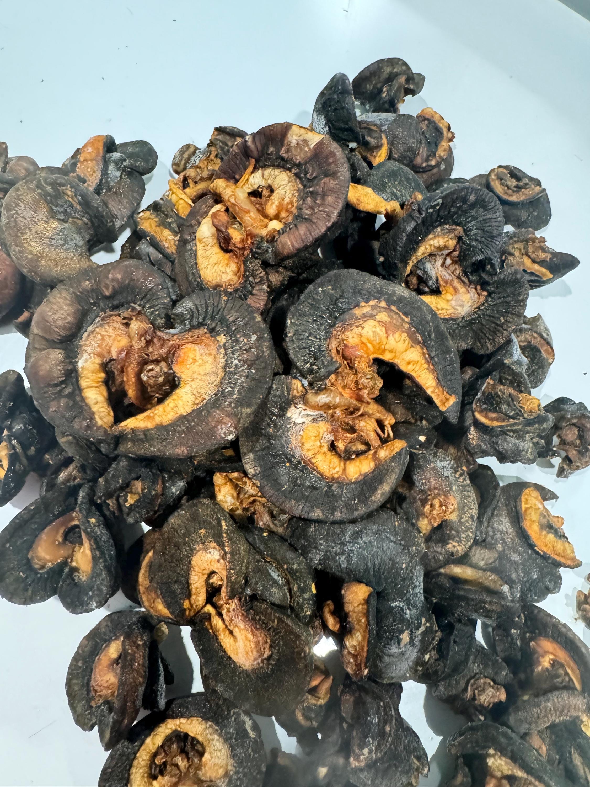 Fried and Dried African Snails Jumbo 8/pcs per Pack, Shipped Frozen - Etsy