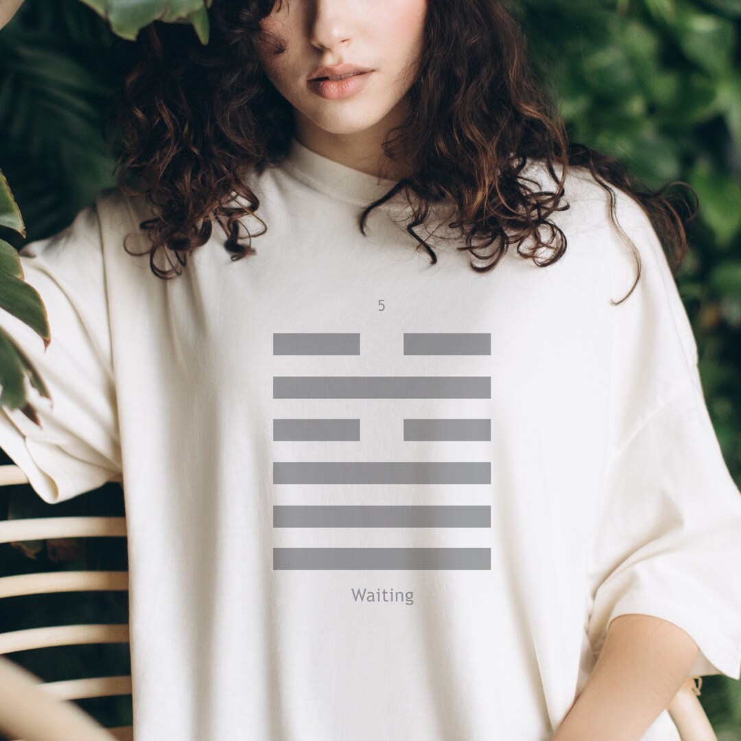 I Ching Hexagram T-shirt: Hsü Waiting Symbol, Unisex Cotton Tee - Etsy