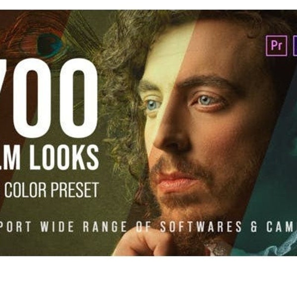 700 Film Looks Luts Color Commercial Cinematic Wedding Preset Pack 100 ...