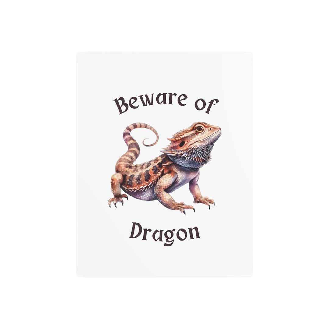 Beware of Dragon Metal Art Sign | Unique Fantasy Gift for Dragon Lovers ...