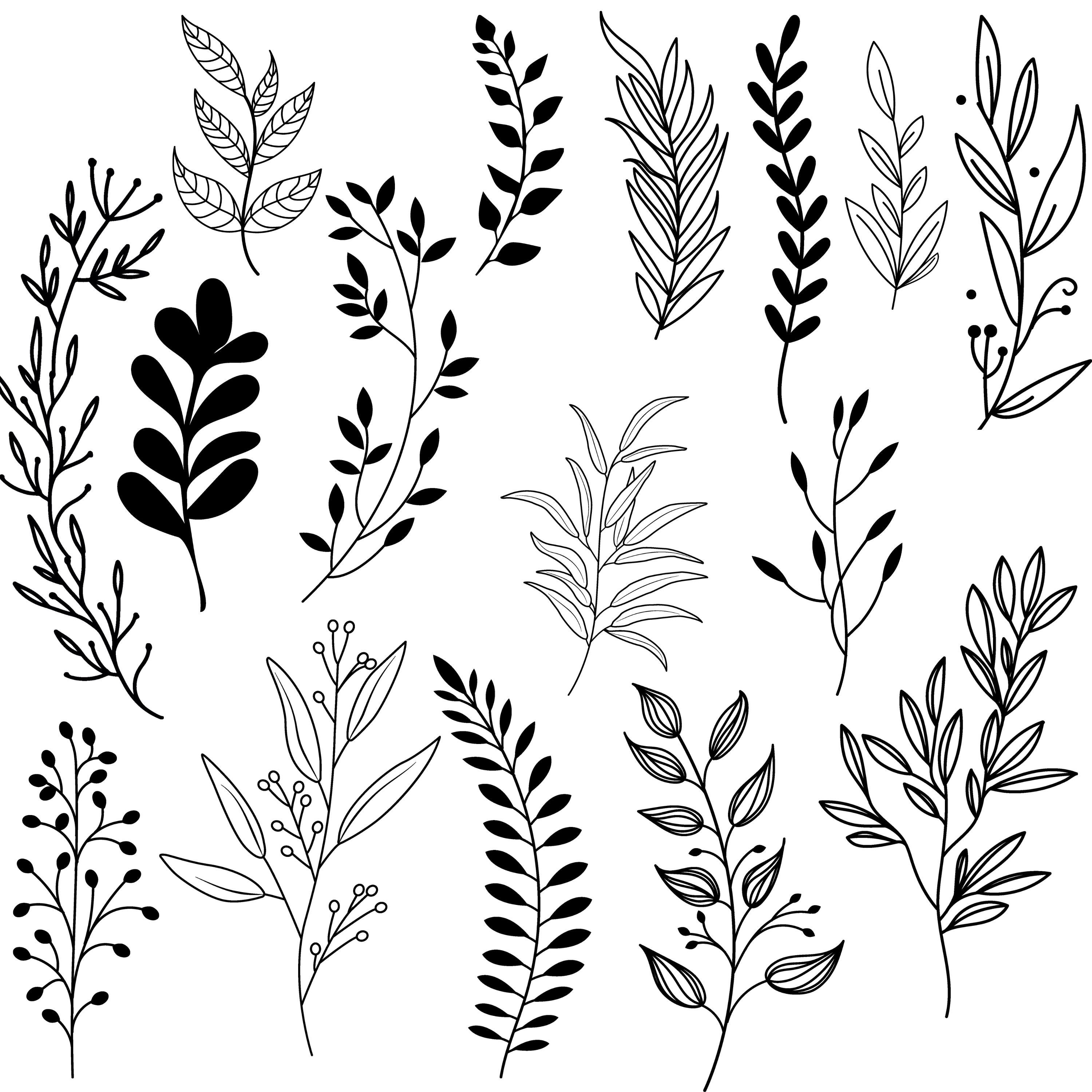 Leaves Svg 52 Leaves Svg Bundle Greenery Svg Leaf Border - Etsy