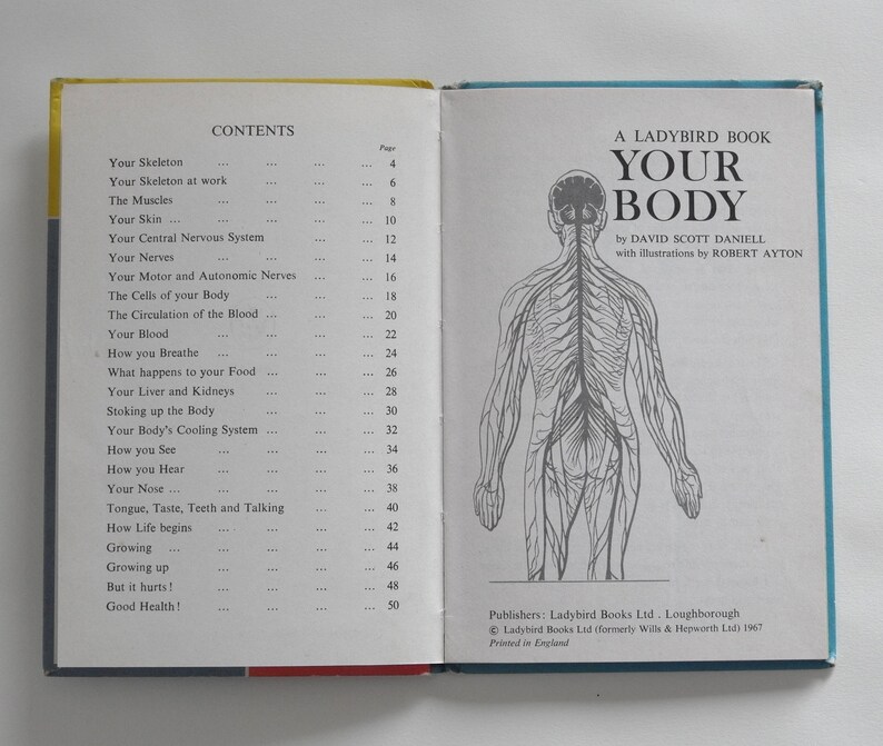 A Ladybird Book: Your Body. Series 536 Anatomy 1967. Vintage Science ...