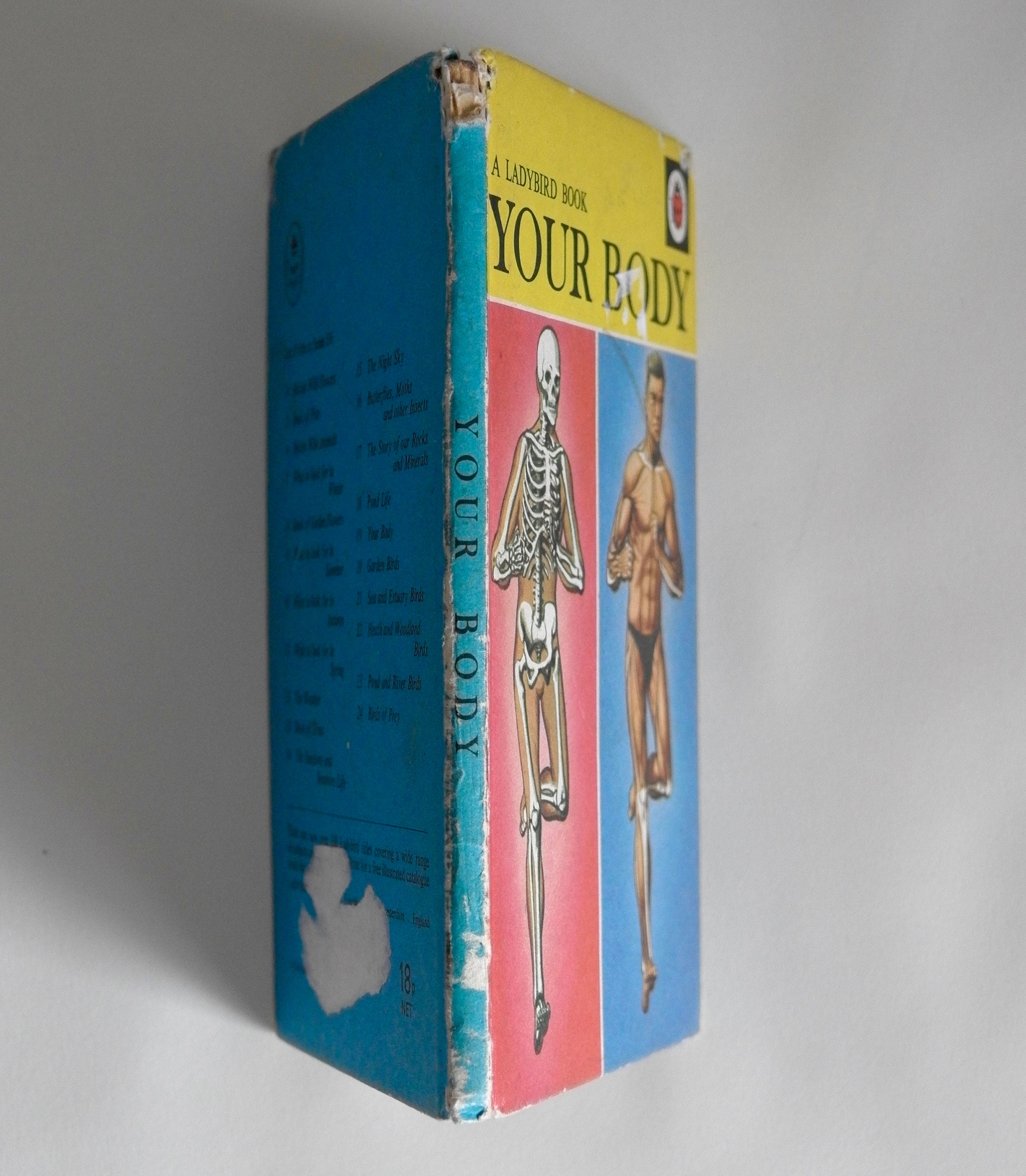 A Ladybird Book: Your Body. Series 536 Anatomy 1967. Vintage Science ...
