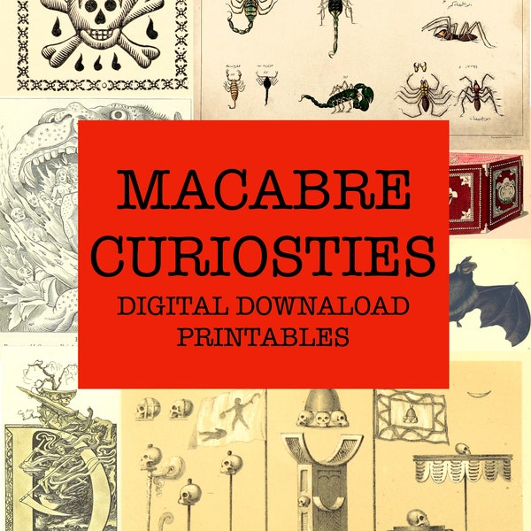 Macabre - Etsy
