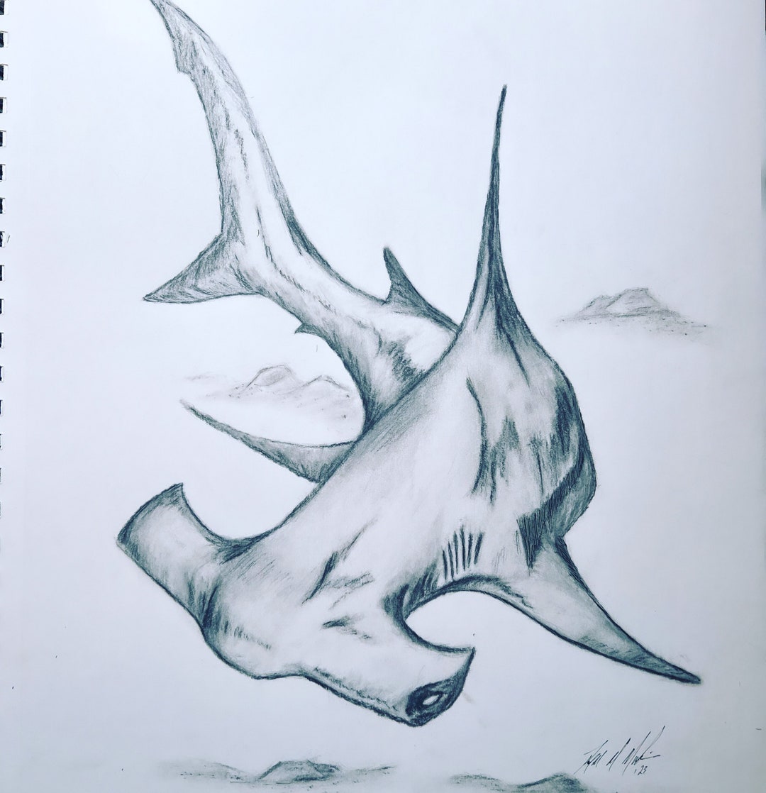 Hammerhead Shark: Charcoal Art - Etsy