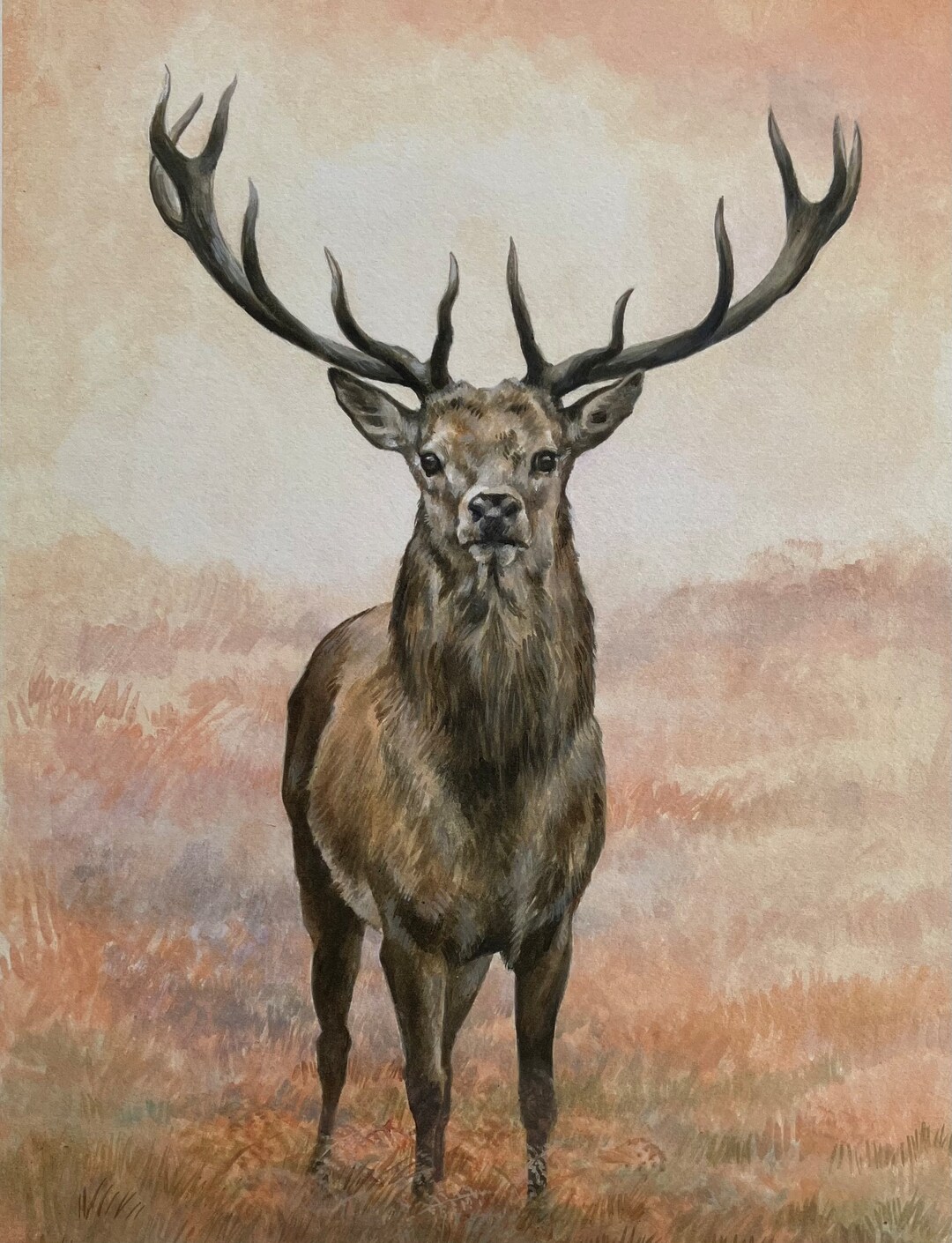 Red Deer Stag Limited Edition Print "majesty" - Etsy