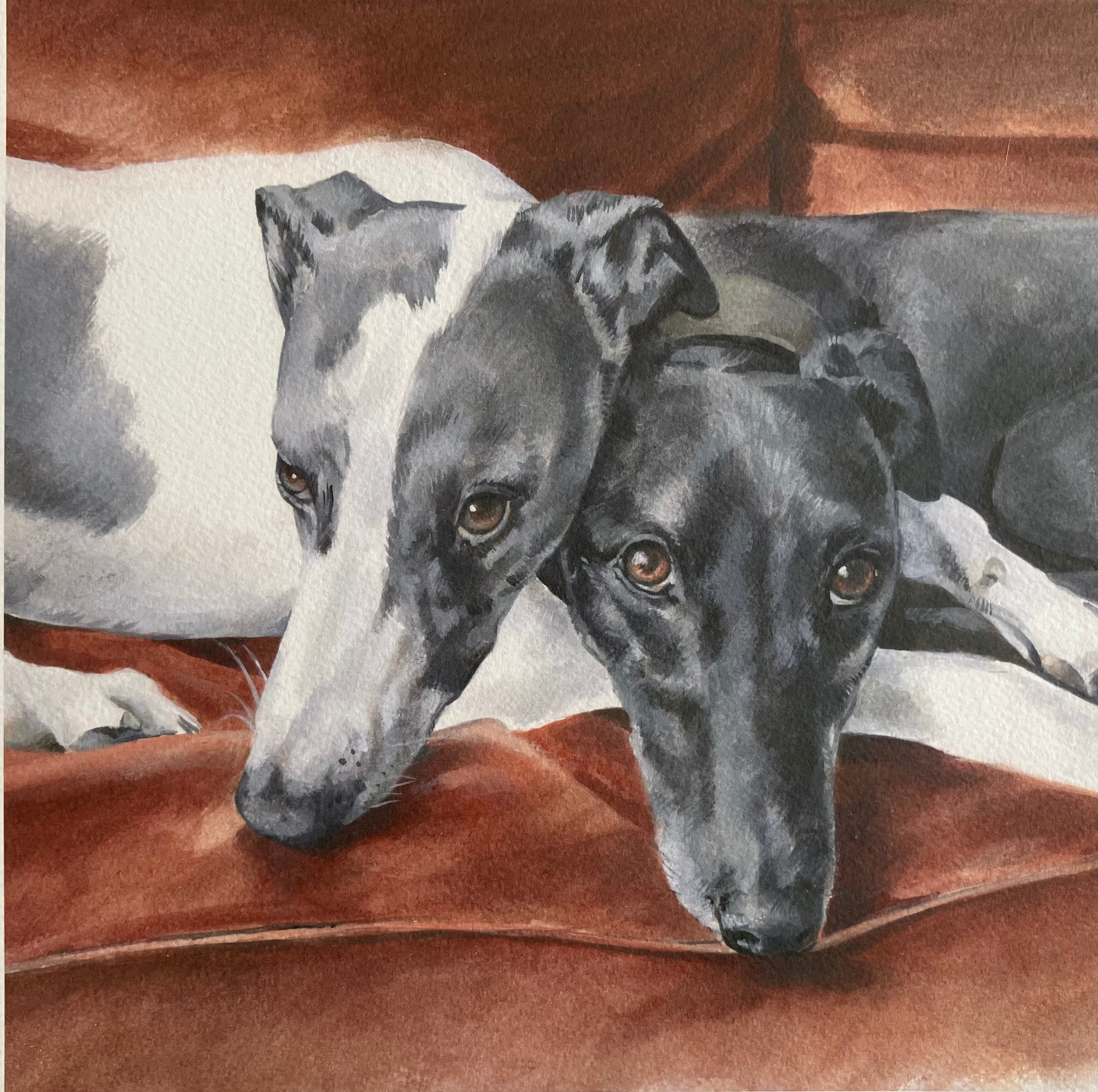 Greyhound Art Print creature Comforts Greyhound - Etsy