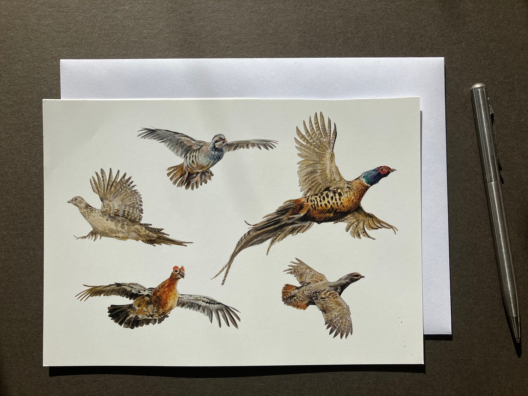 Shooting Greeting Card With Game Birds. Pheasant Card - Etsy