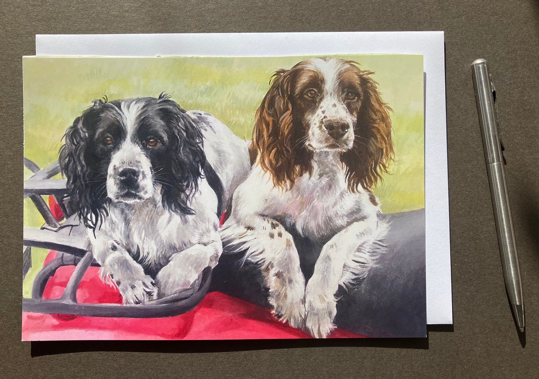 Working Springer Spaniel Greeting Card. Blank Card by Caroline Cook ...
