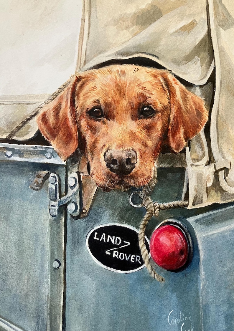 Fox Red Labrador Retrievergreeting Card. - Undercover Agent Blank Card ...