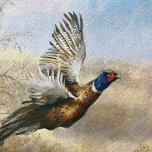 Fox and Pheasant Limited Edition Print "a Near Miss" Wildlife Picture ...