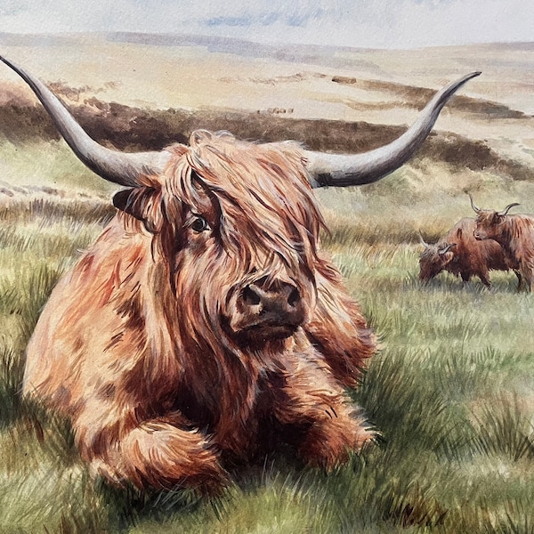 Highland Cattle Art - Etsy