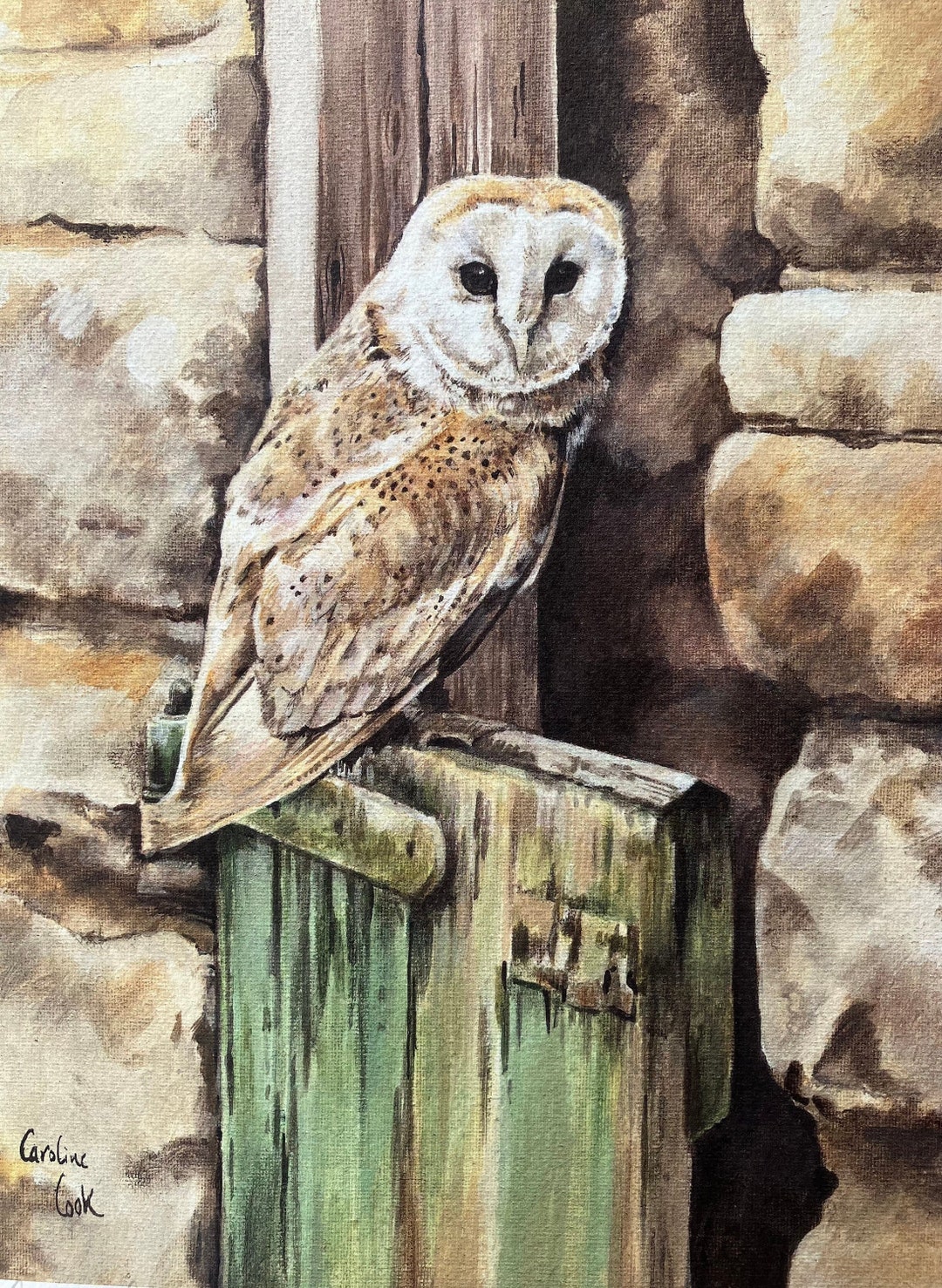 Barn Owl Art "the Barn Owl" Limited Edition Owl Print - Etsy