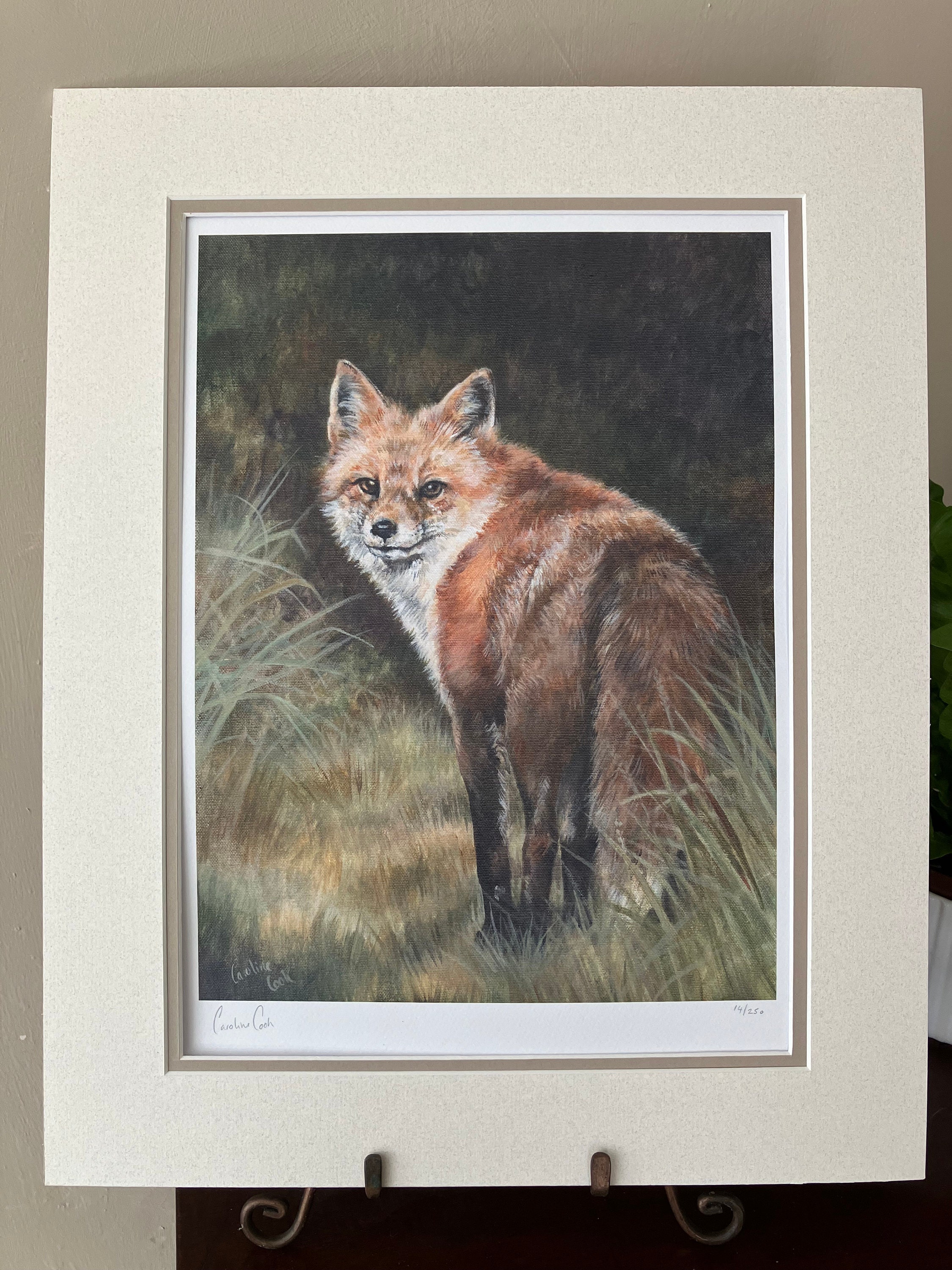 Fox Picture "out of the Shadows" Red Fox Limited Edition Print - Etsy
