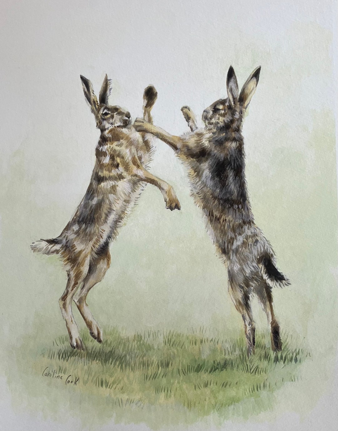 Hare Print "spring Madness" A Picture of Brown Hares Boxing - Etsy UK