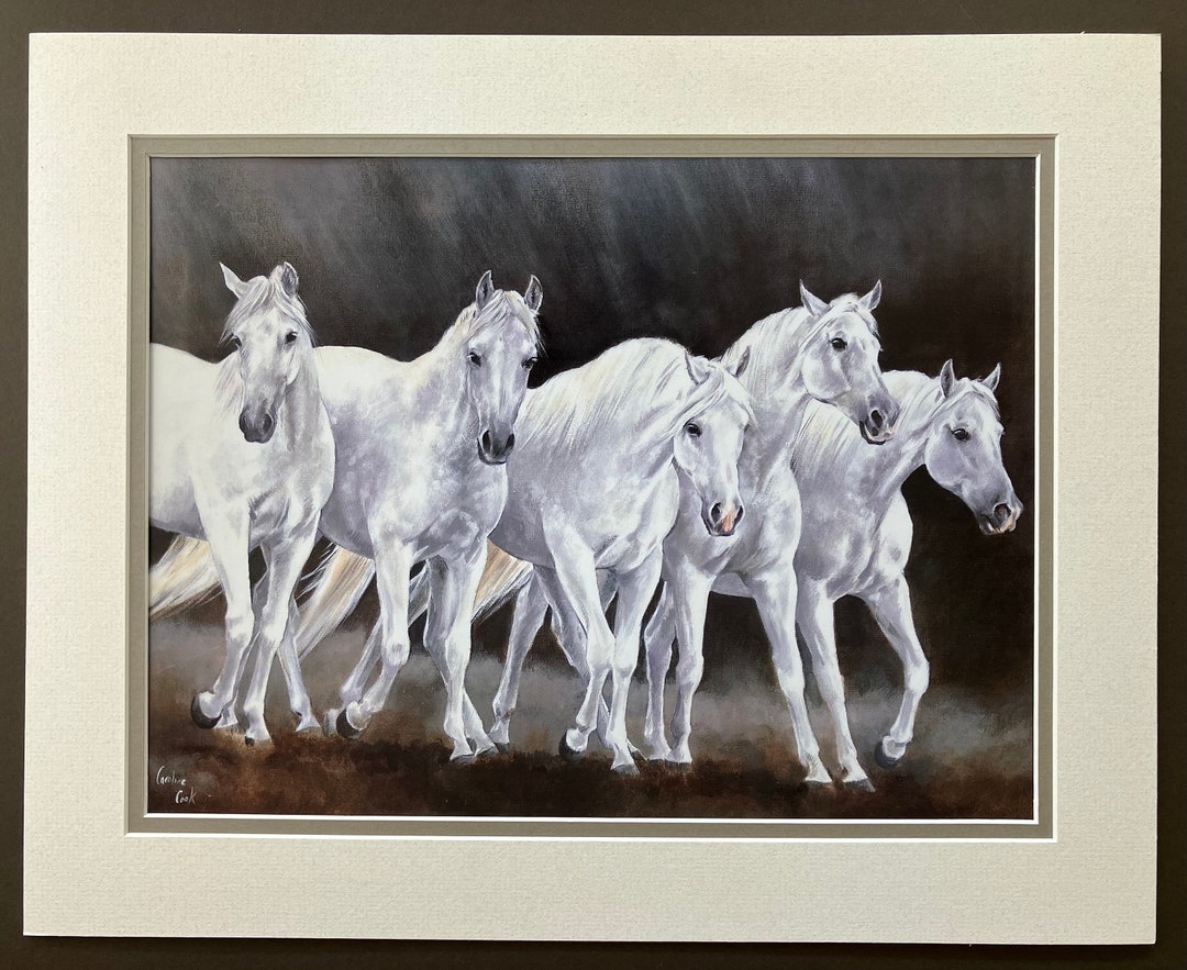 Andalucian Horse Art Print - Spanish Horses. Mounted Wall Decor for ...