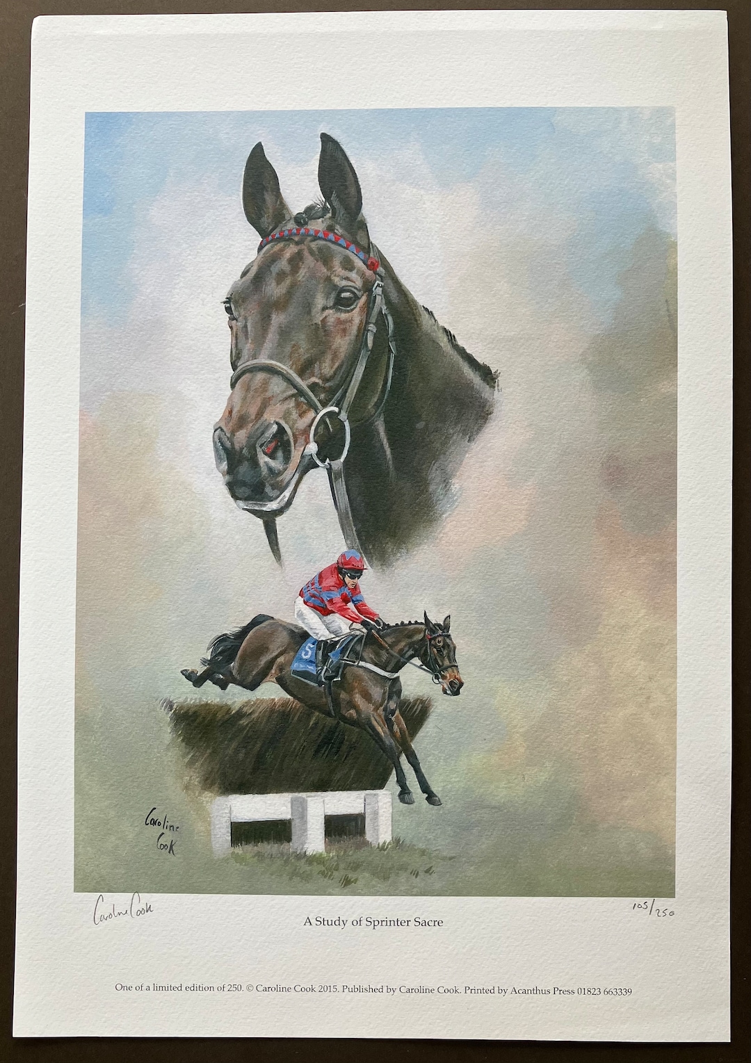 Horse Racing Art Print "sprinter Sacre" Limited Edition Print - Etsy
