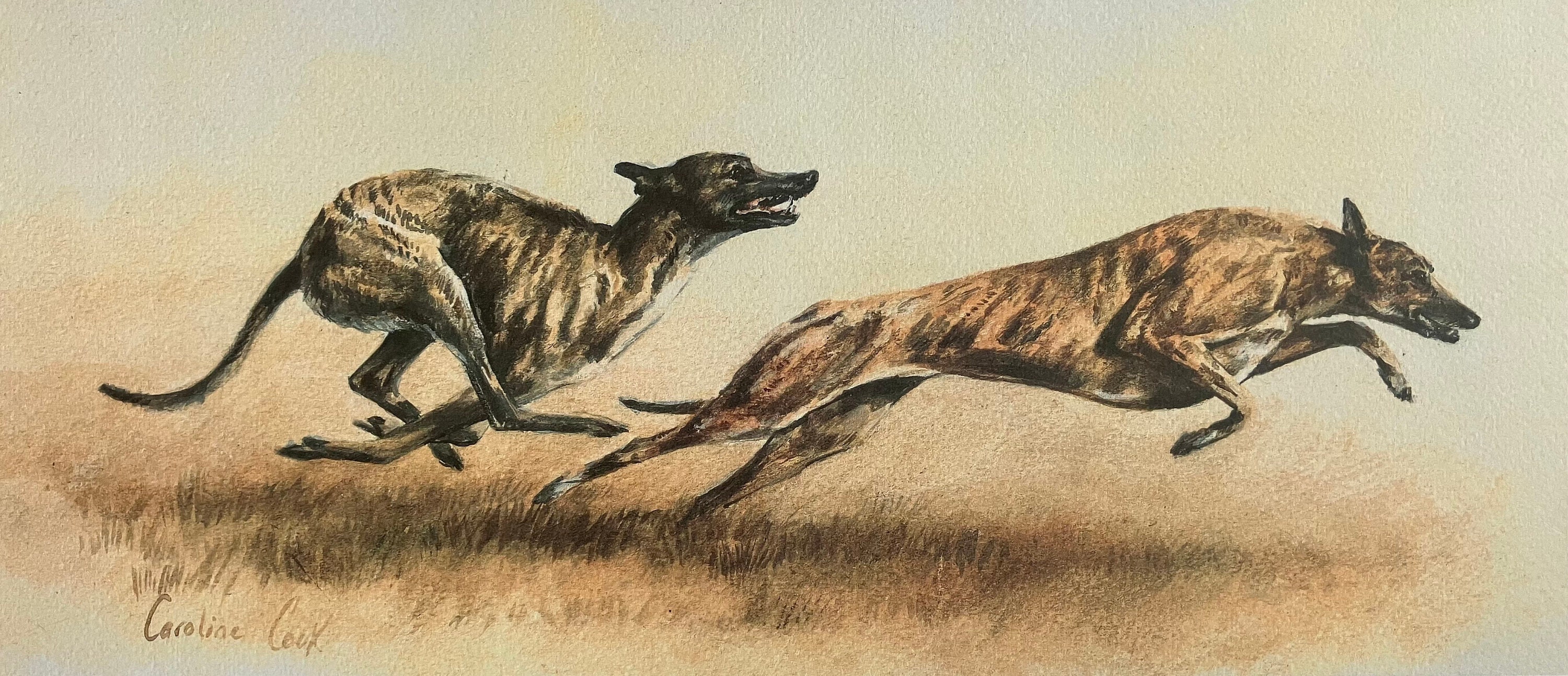 Dunn Running Greyhounds